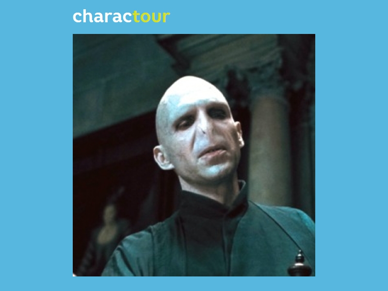 Voldemort from Harry Potter Series | CharacTour