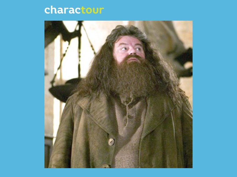 Rubeus Hagrid from Harry Potter Series | CharacTour
